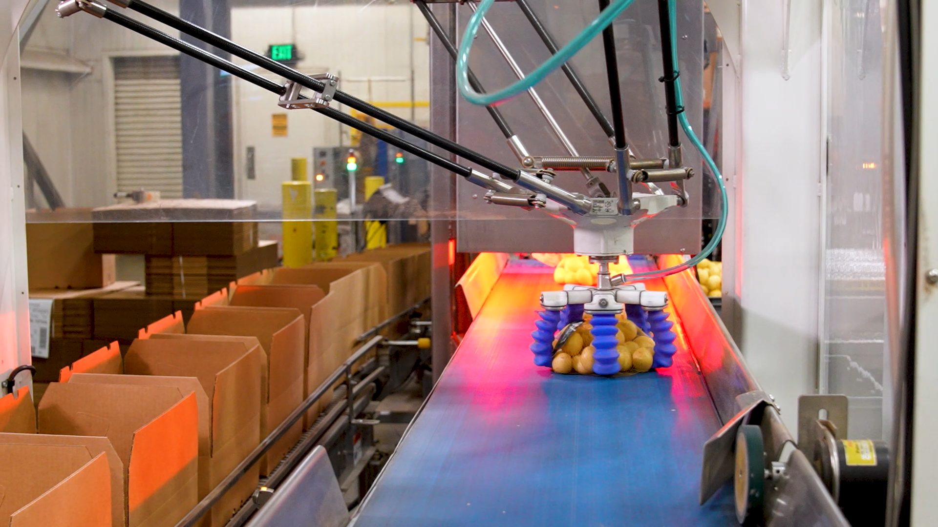 Potato Automation - Soft Robotics Potato Automation - Soft Robotics