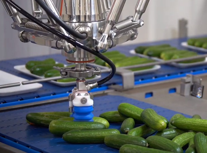 High-Speed Cucumber Automation with mGripAI - Soft Robotics High-Speed Cucumber Automation with mGripAI - Soft Robotics