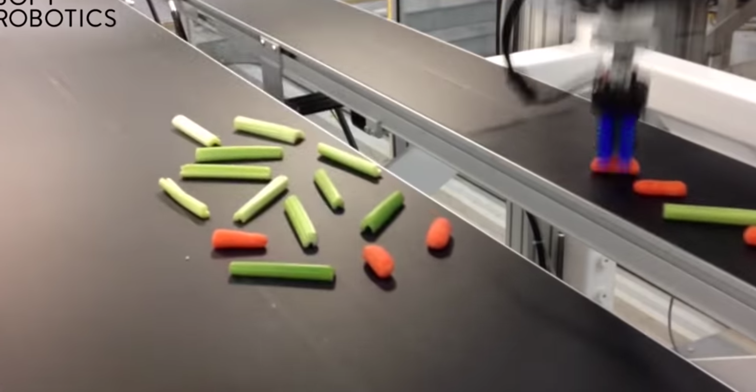 Automation Solutions for Difficult Applications - Soft Robotics Automation Solutions for Difficult Applications - Soft Robotics